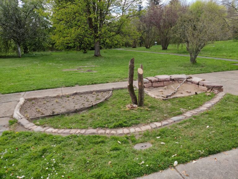Wildbienen fördern - Sandarium anlegen - Gartenarchitektur ...